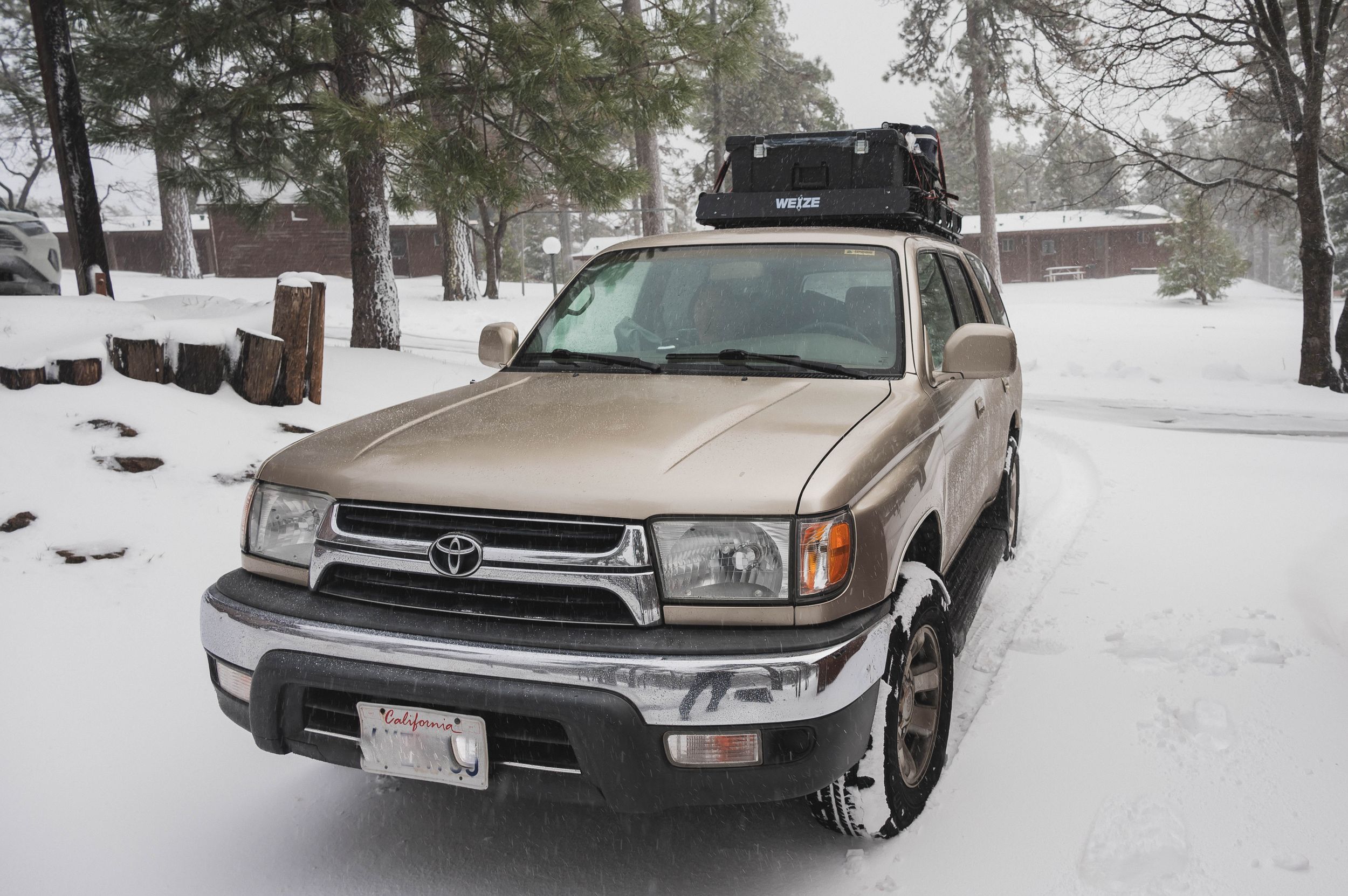 Review of the 40mm f2 Nikon Z - Nico Shirey Photography