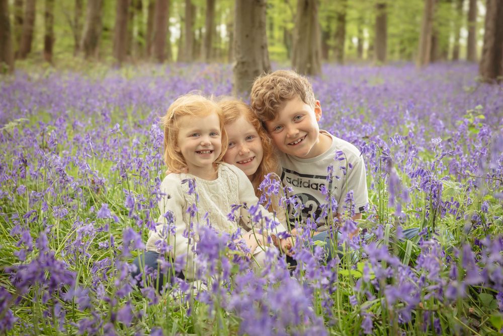 Experience the Magic of Bluebell Season in Sussex - Lifetime Moments ...