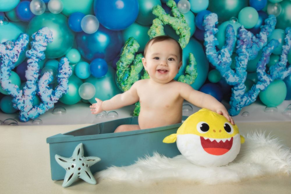 New Backgrounds- Baby Shark, John Deer, Fiesta and Duck Hunting - Sheri ...