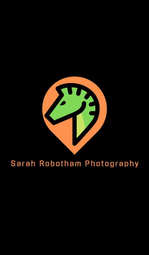Equestrian Photo Galleries - Sarah Robotham Photography - New Zealand