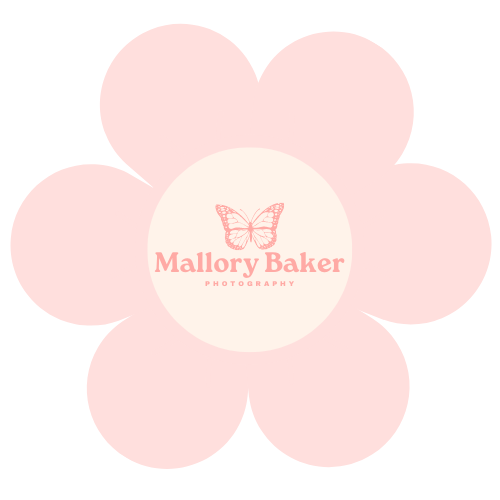 Investment - Mallory Baker Photography
