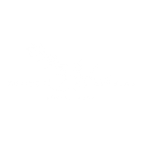 Brooke Abshire Photography