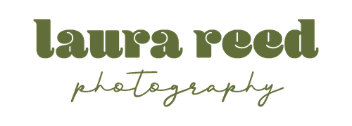 Blog - Laura Reed Photography