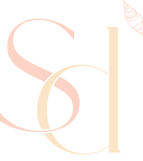 Summer Daze Photos - Wedding Photographers based in Jacksonville Beach, FL