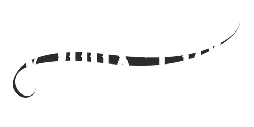 ONYX Fox Studios - Boudoir, Weddings & Portrait Photography
