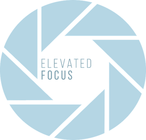 Client Work - Elevated Focus