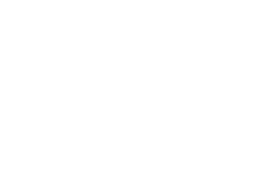 Film Processing - Sofi Callis Photography | sofypthima