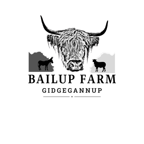 Treasured Memories Photography