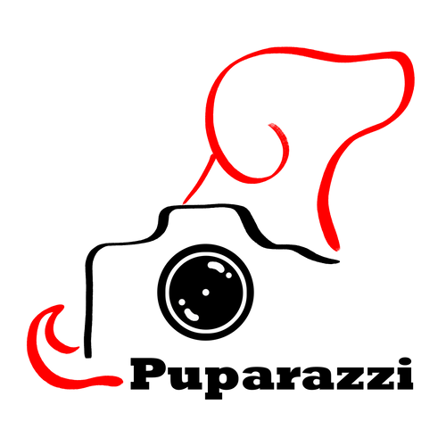 Christy Hess Photography