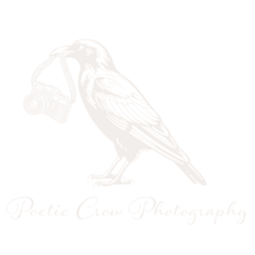 How to Choose Your Wedding Photographer in Ohio (And Avoid Regret Later ...