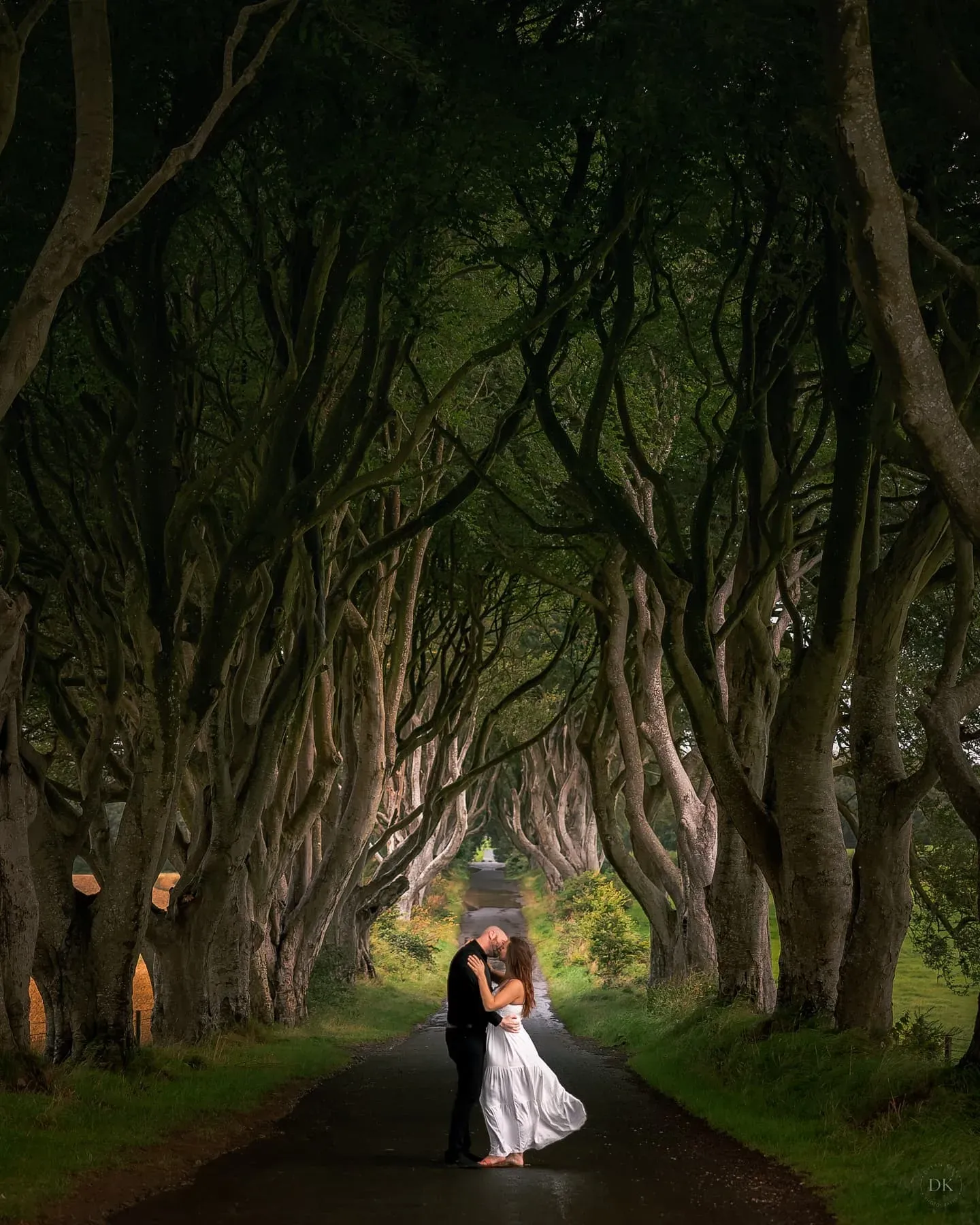 San Luis Obispo Photographer & Videographer | Dylan Kyle Photography