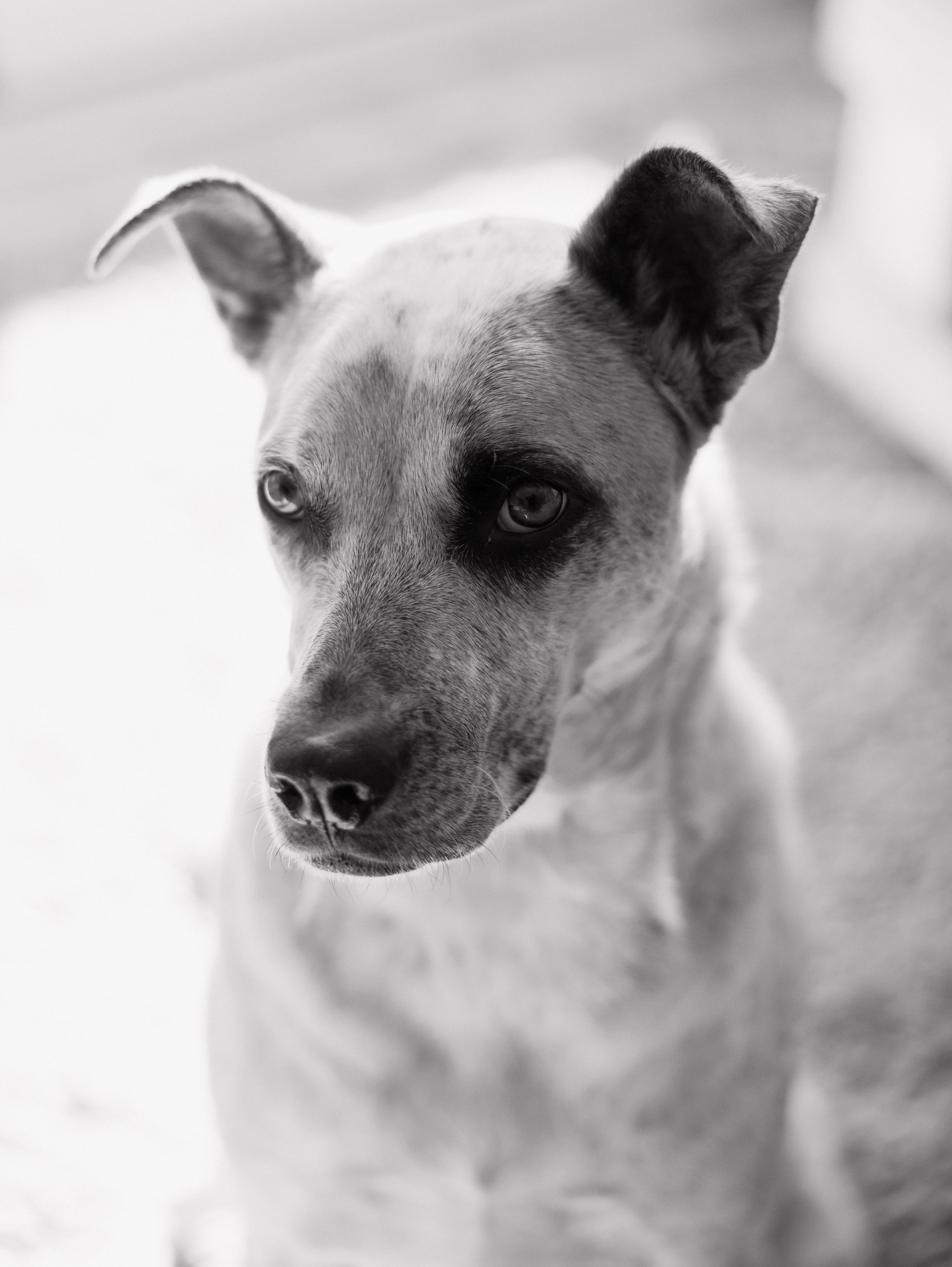 About - RF Hayden Photography