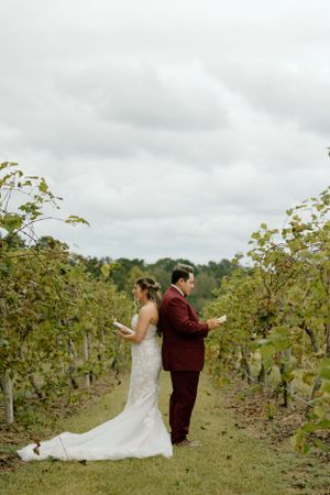 Experience and the Process - Cambridge and London UK Photographer - RF ...