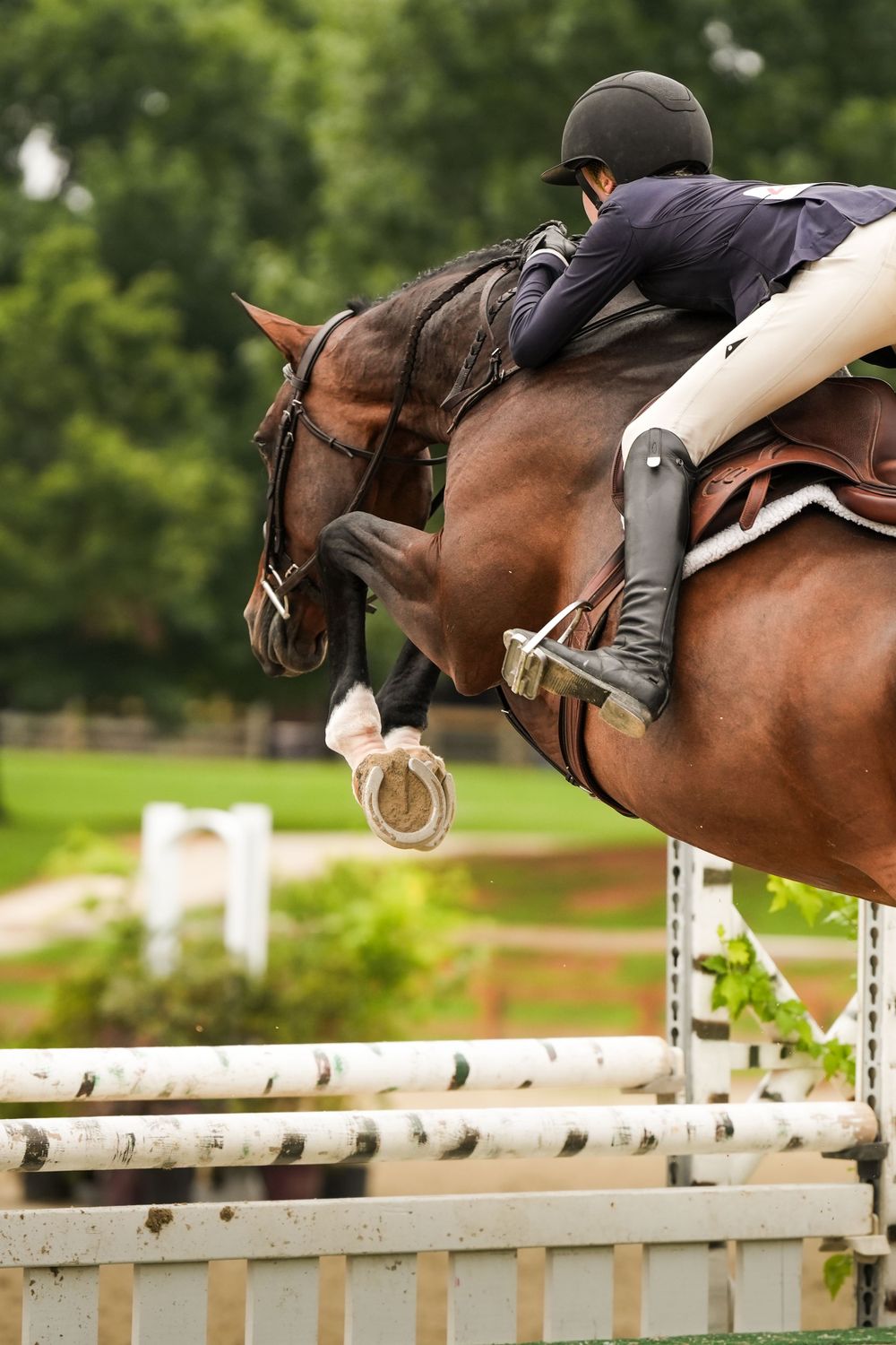 Horse Show Galleries - Buck It Equine, LLC