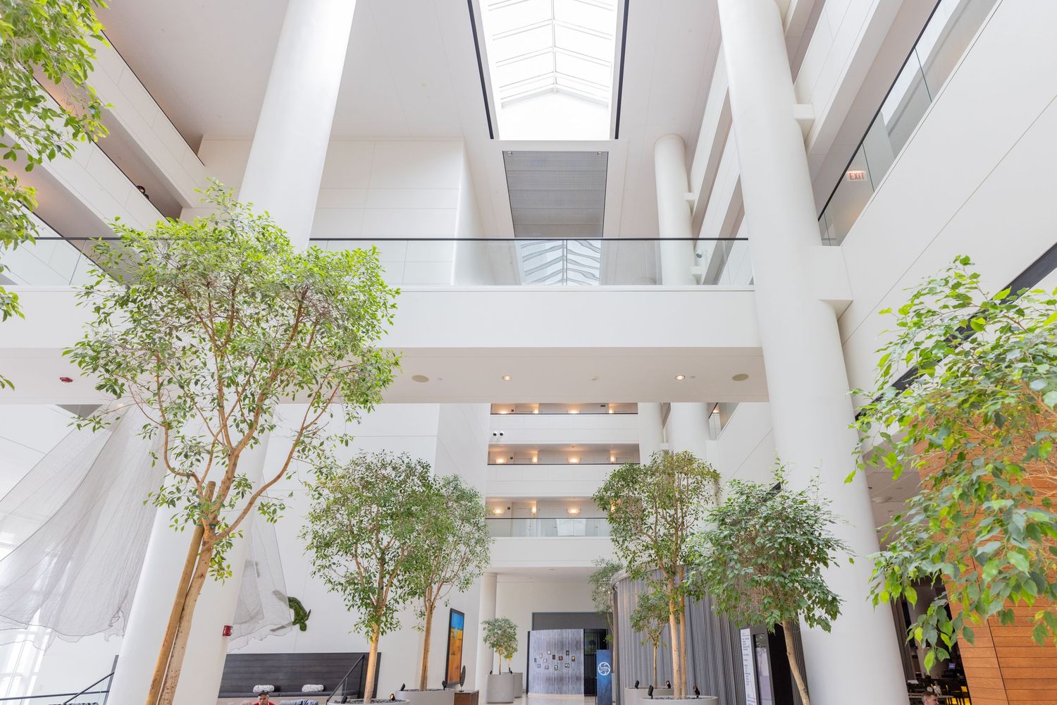 Elle Design & Photography