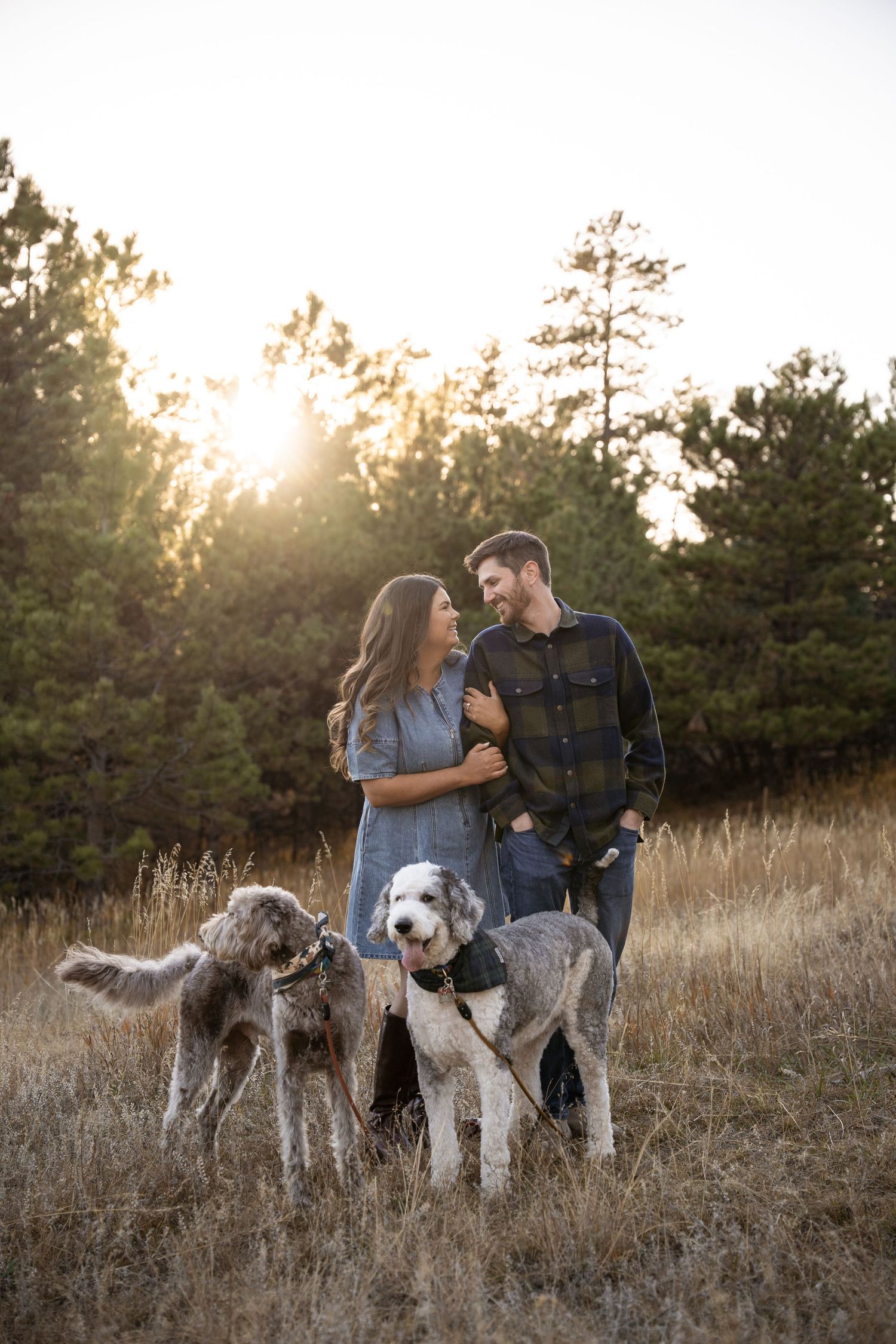 Brooke and Andrew’s Mt Falcon West Engagement Session in Evergreen ...