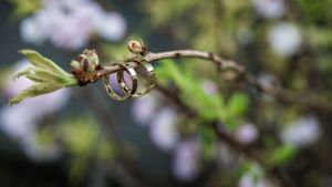 Wedding Photography Pricing | David Cheney | Dallas & Destination ...