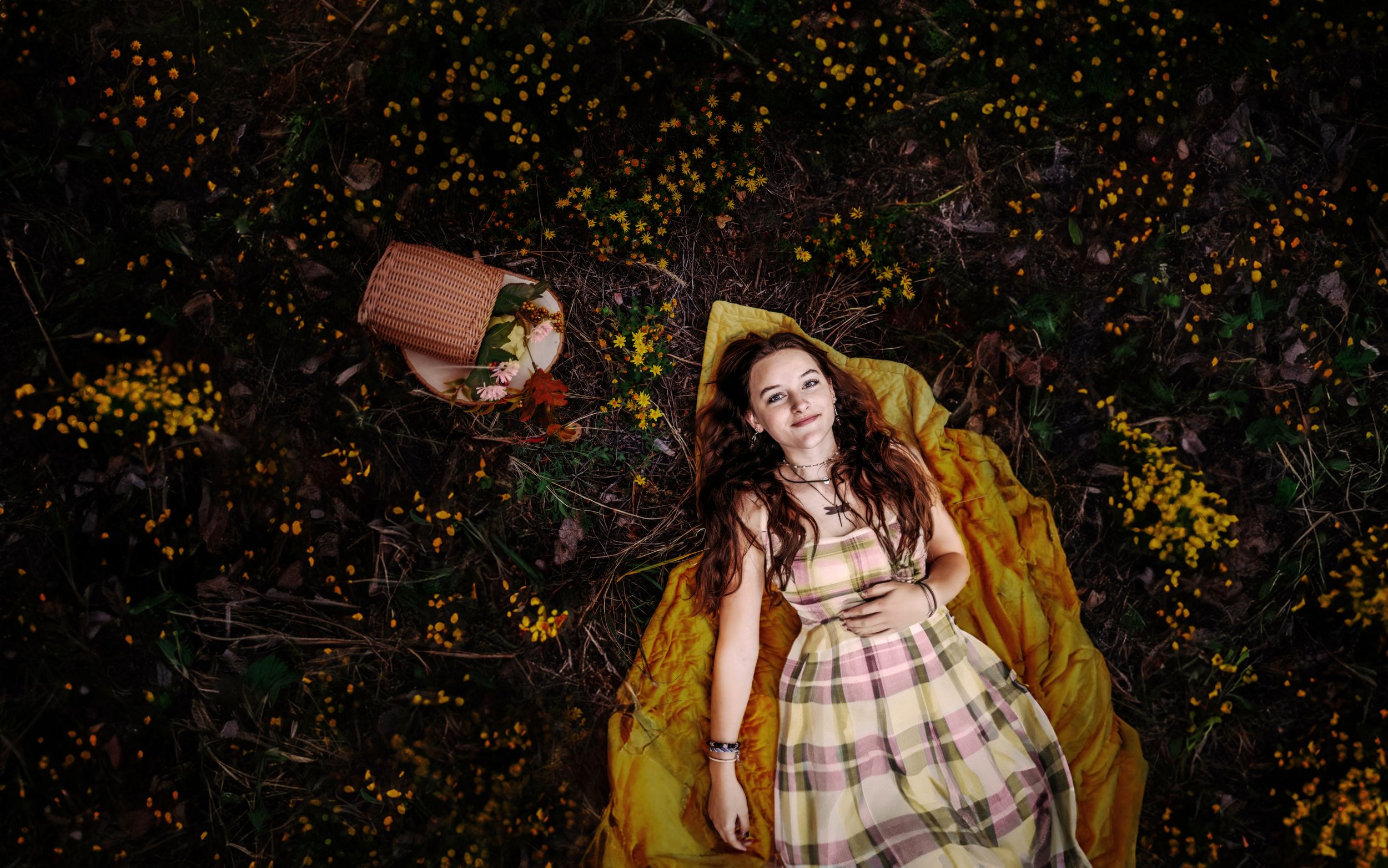 Paula Kramer Art | Photography in Colorado Springs