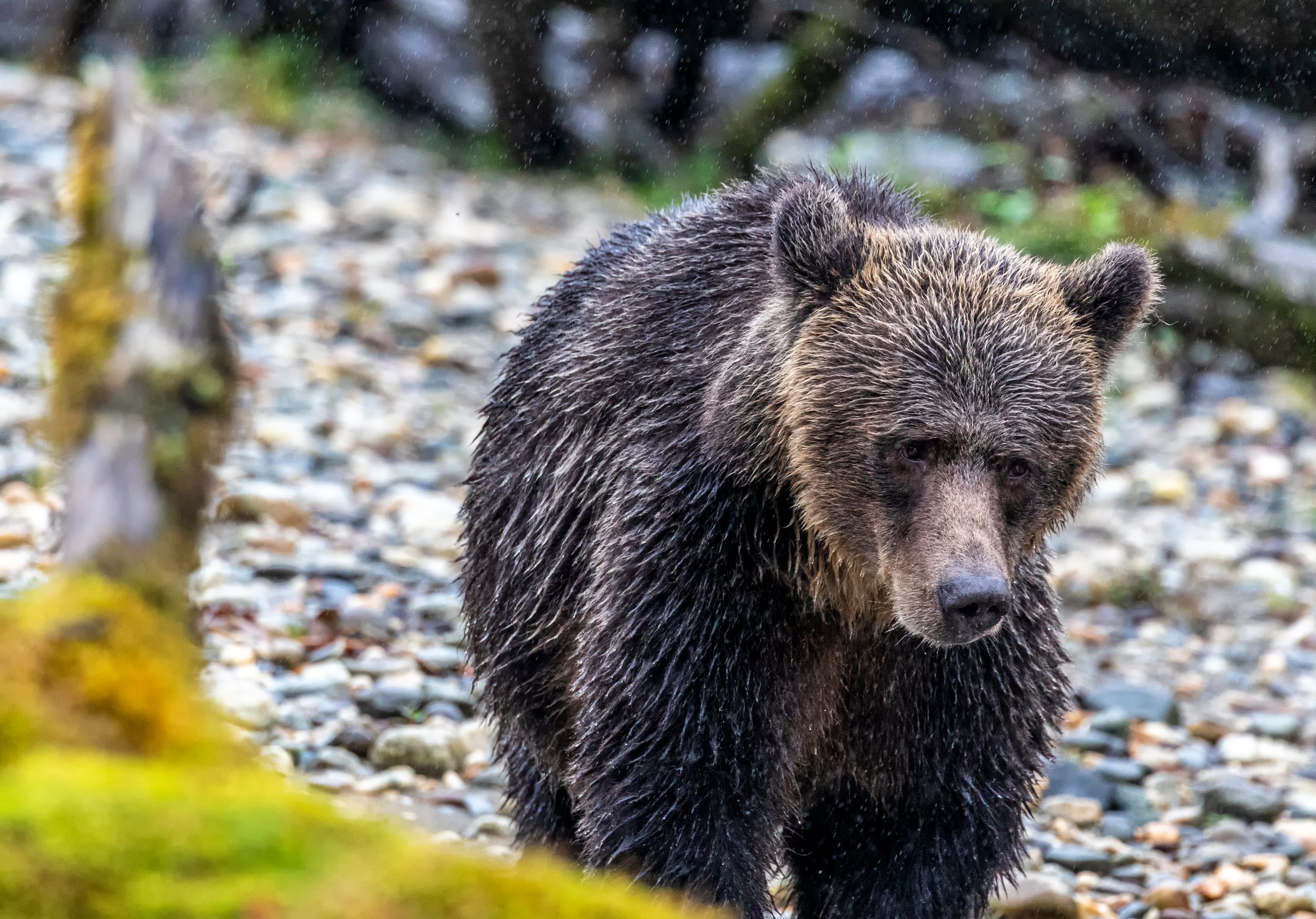 John Slot Phtography