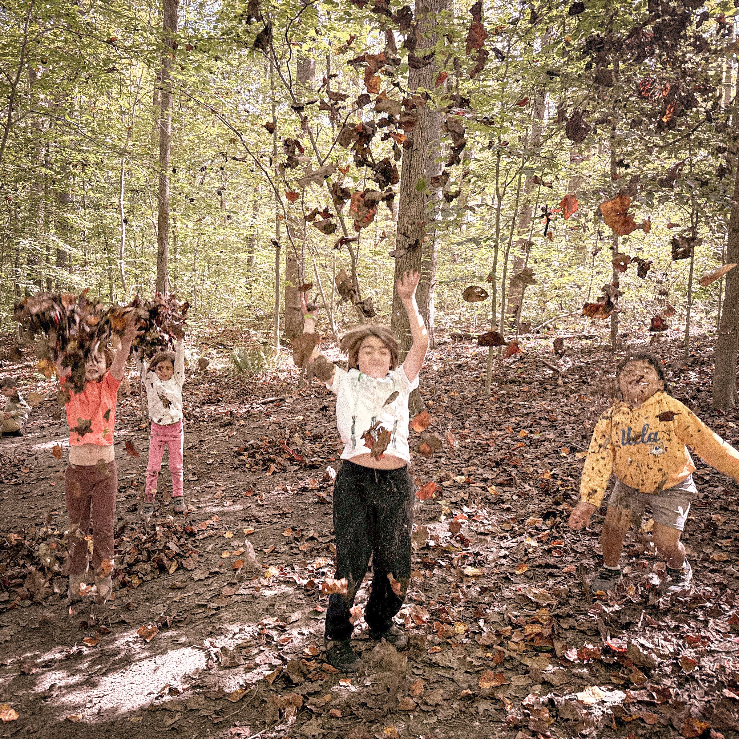 Gallery 1 - River's Edge Forest Play