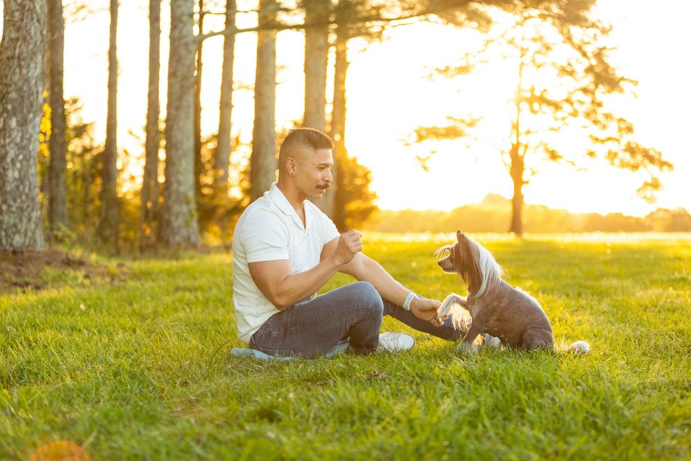 5 Signs It’s Time to Book an End-of-Life Session for Your Senior Dog ...