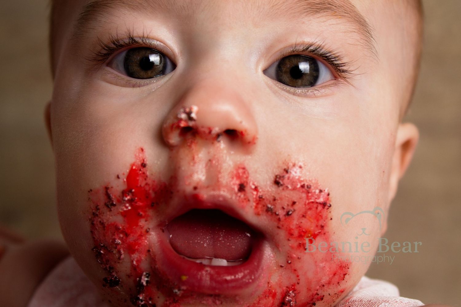 Beanie Bear Photography- Minot Newborn and Milestone Photographer