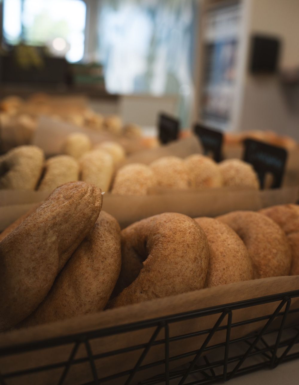 Branding with Bagel Kitchen - Nova Photography