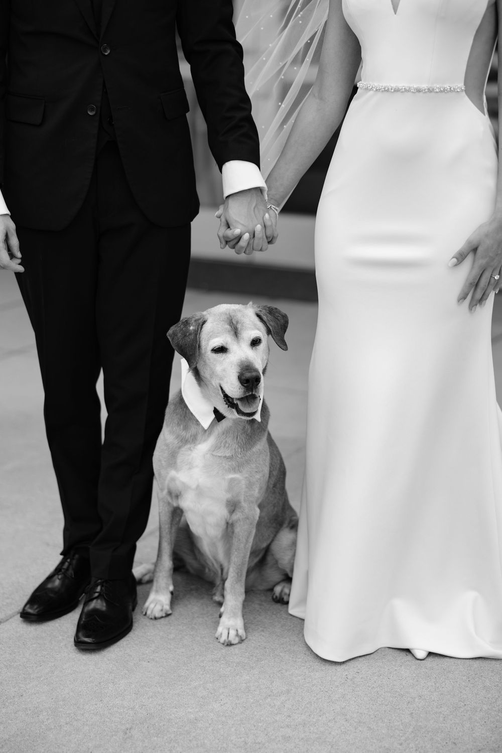 Renata Zimmer Photography