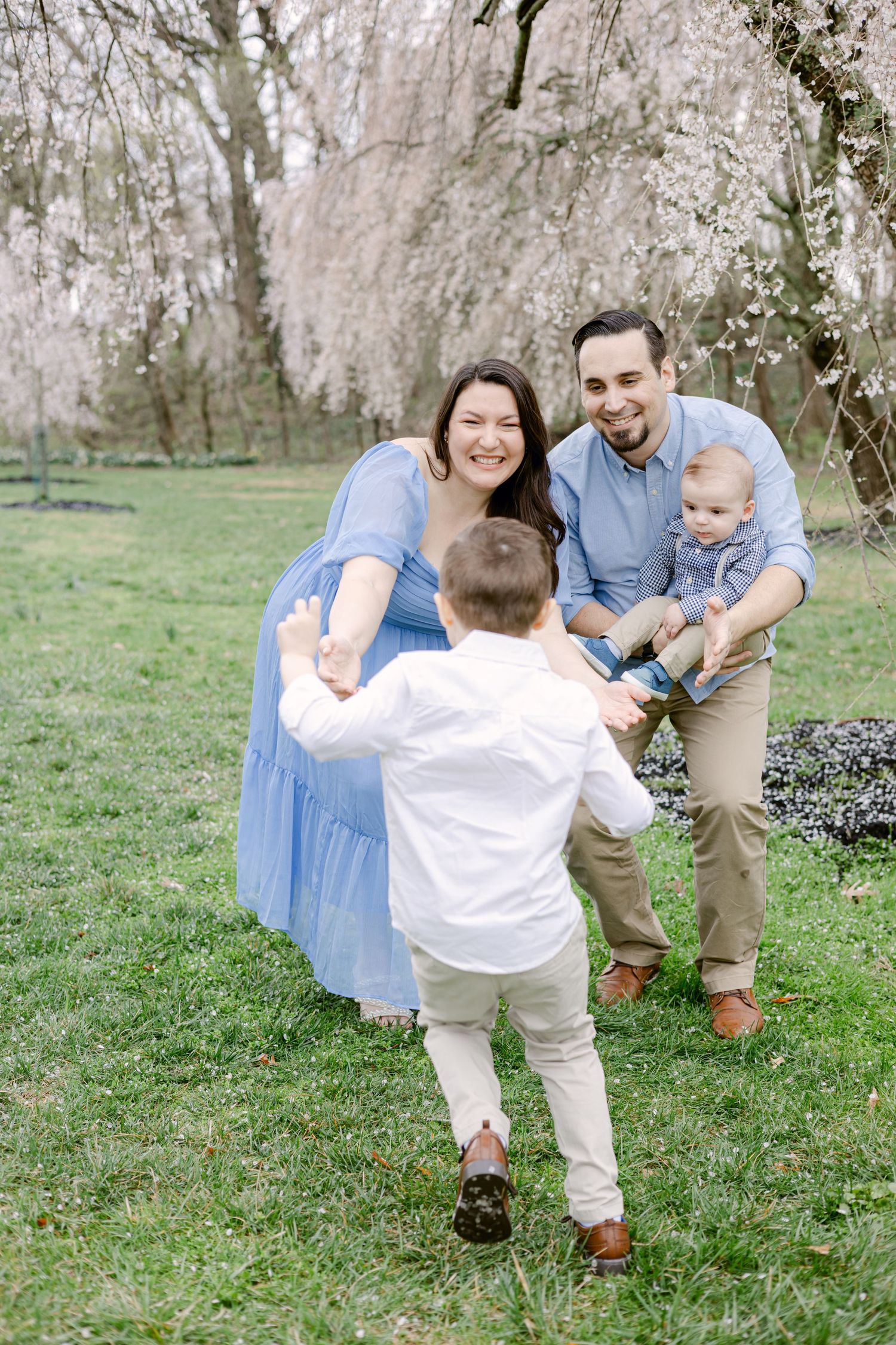 Issue 04 | Spring Blooms & Candid Moments: A Cherry Blossom Family ...