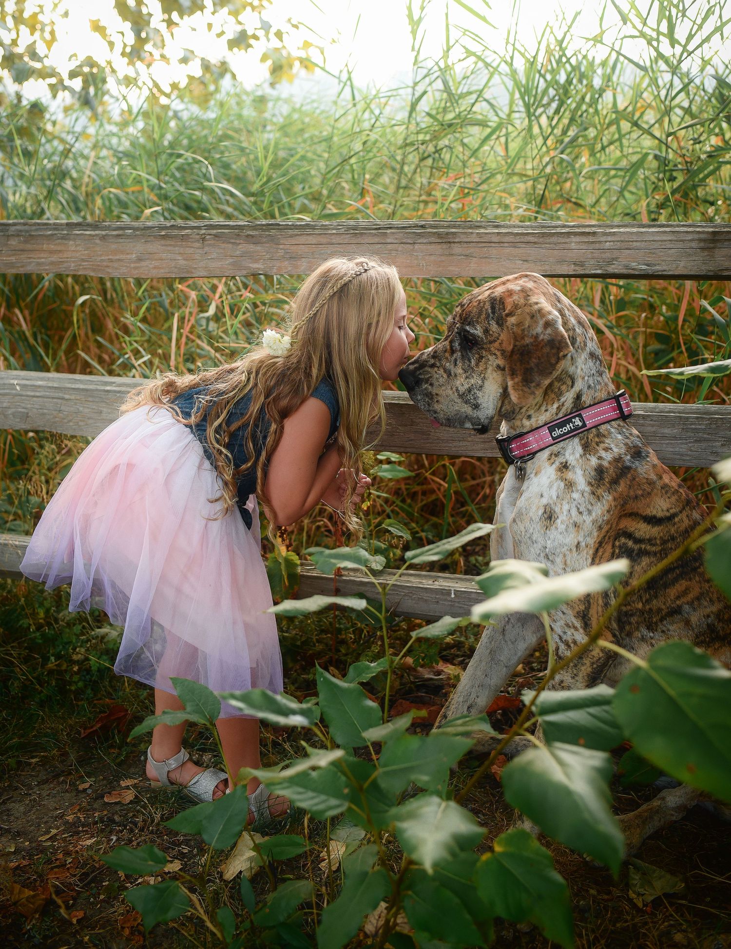 Family Package Pricing - Laura Hoy Photography