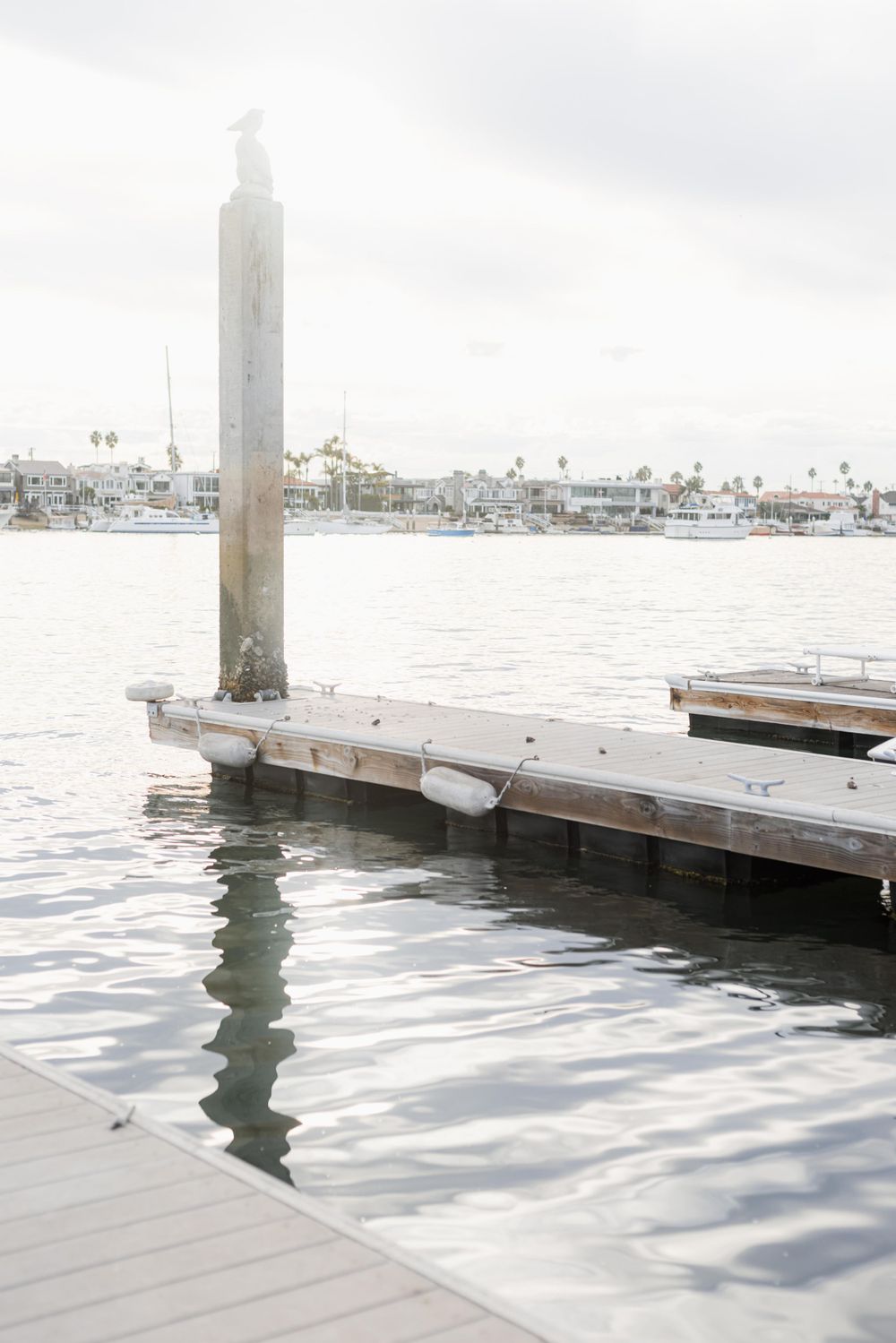 Portfolio - Colin Grey Photography