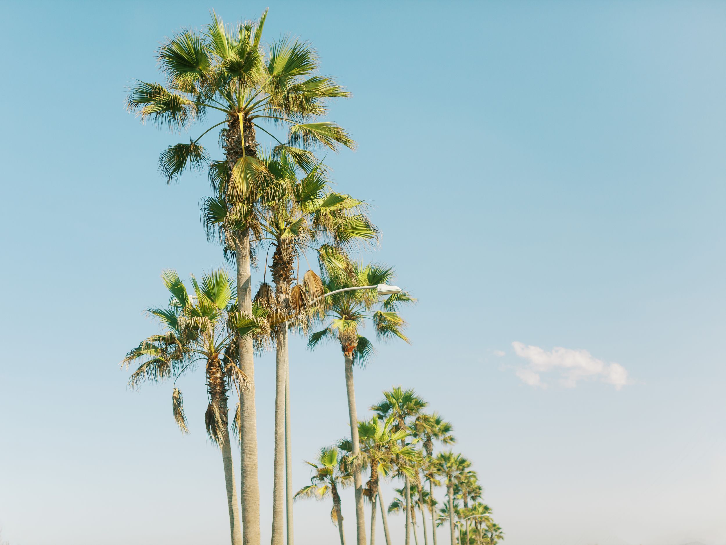 Pam Cooley Photography