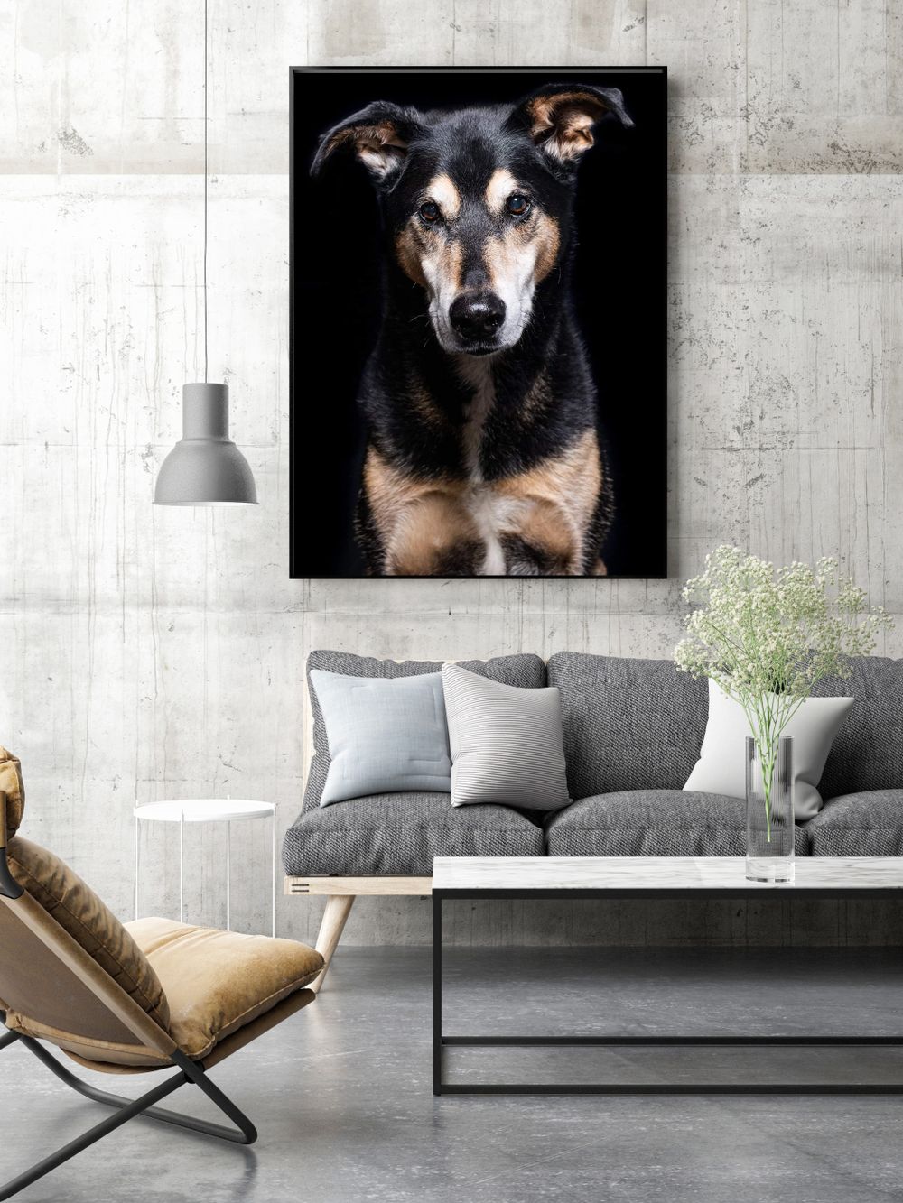 Pooch Playoffs 2026 - ArrowStar Photography