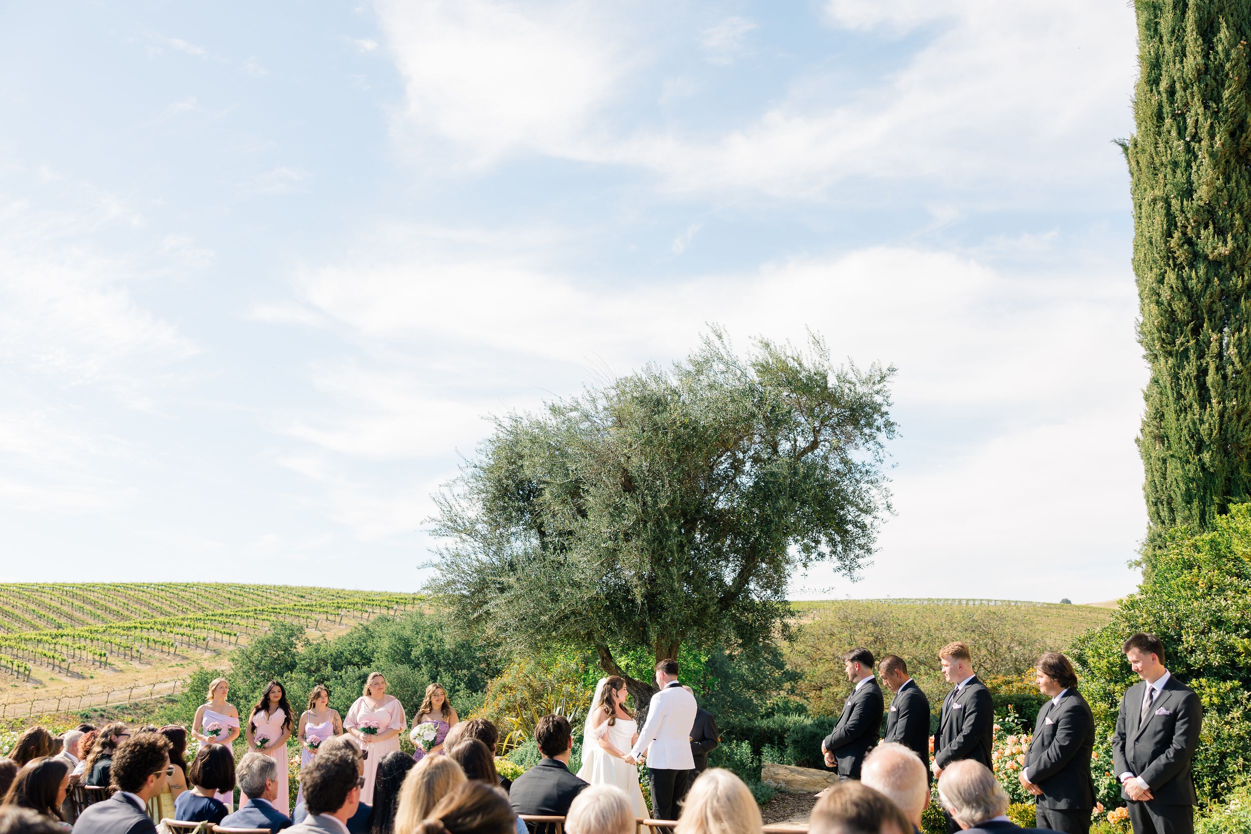 Villa San Juliette Spring Wedding Sneak Peek in Paso Robles | Alexandra ...
