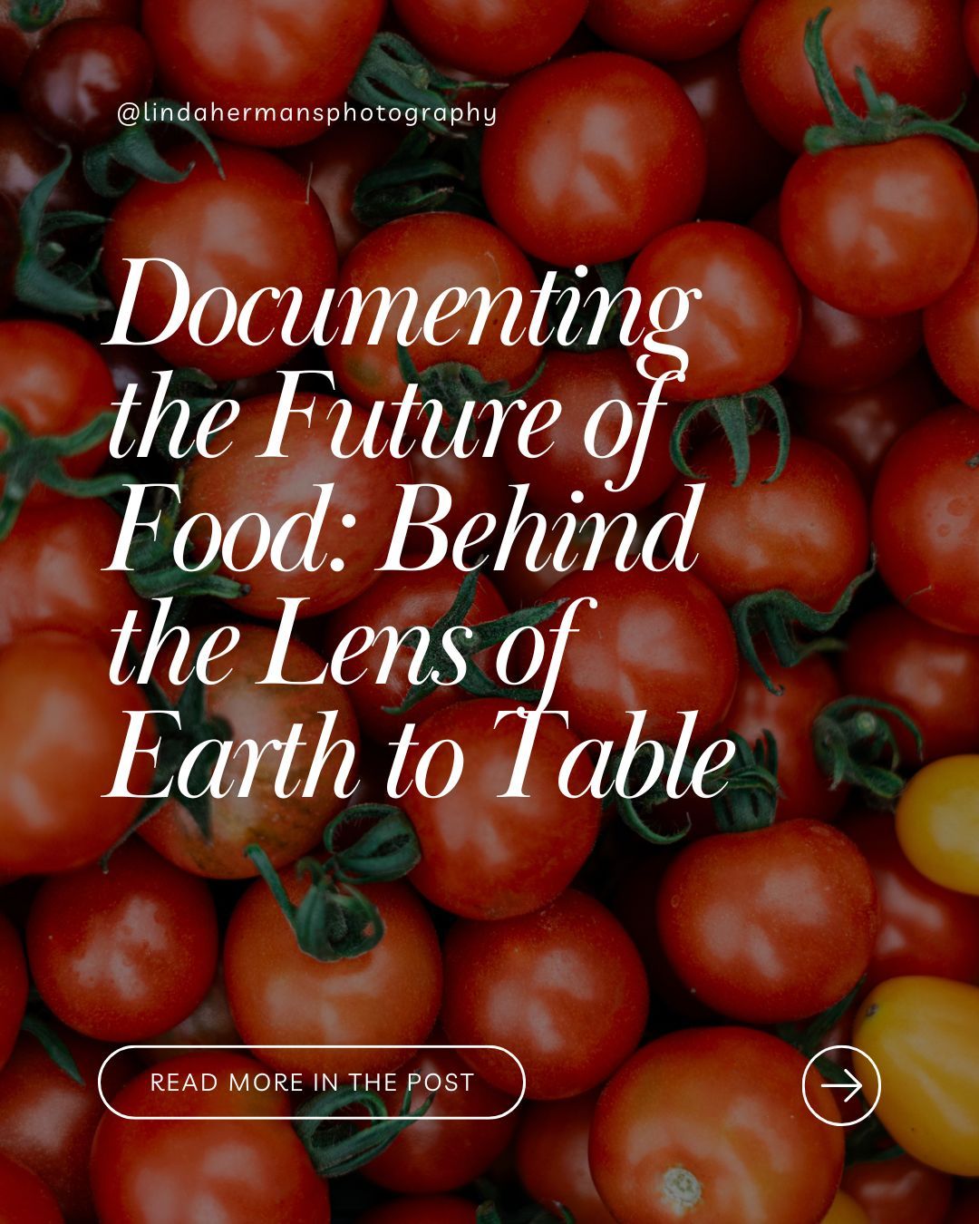 Documenting the Future of Food: Behind the Lens of Earth to Table ...