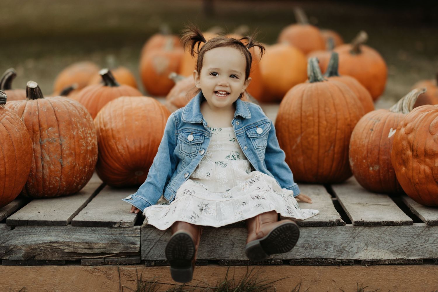 Fall/Winter Mini Session Details - Northlit Haven Photography