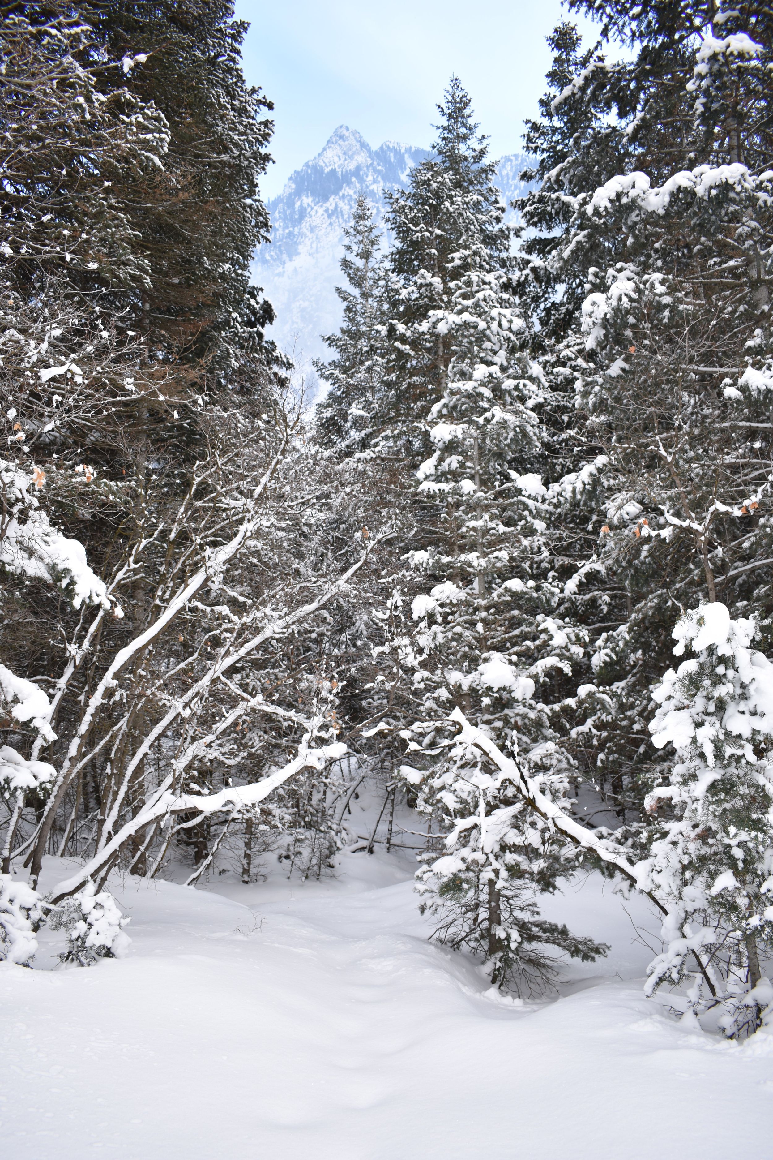 Top Mountain Locations for Winter Bridals in Utah - Nichols and Dimes ...
