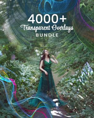 Transparent Overlays: The Secret to Seamless Creative Photo Editing in ...