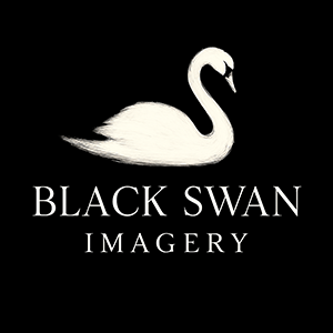 My Favorite Galleries - Black Swan Imagery