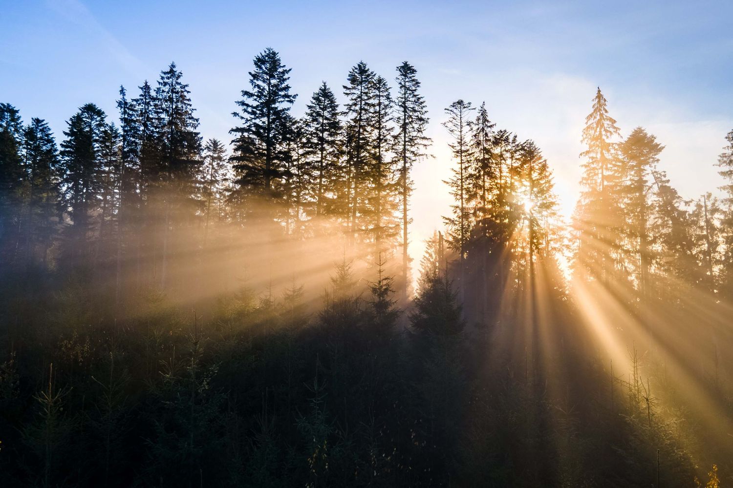 What to Look for When Choosing the Perfect Photography Location - LK ...