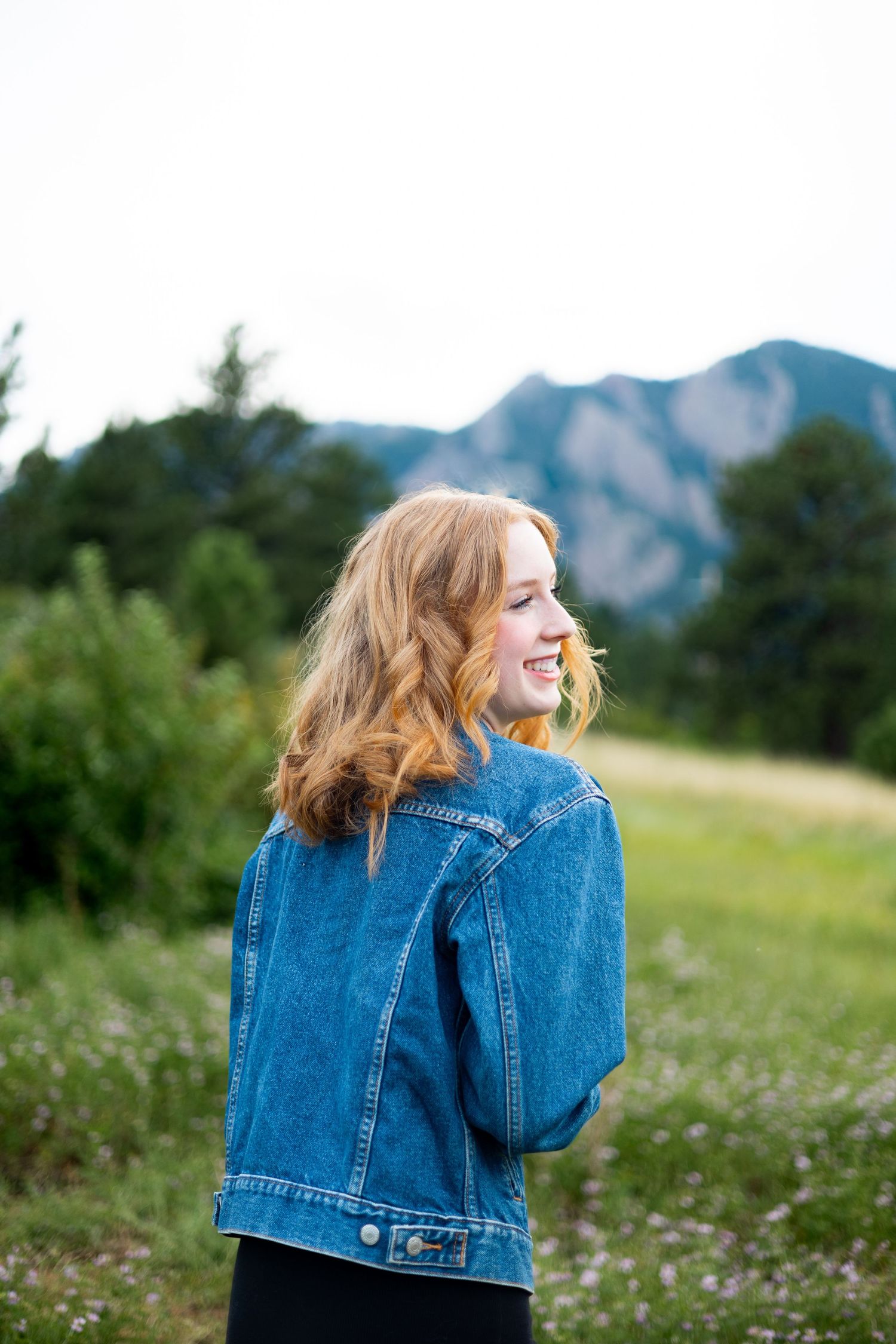 Apricity Photography