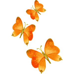 Shutterbug & Belle Photography