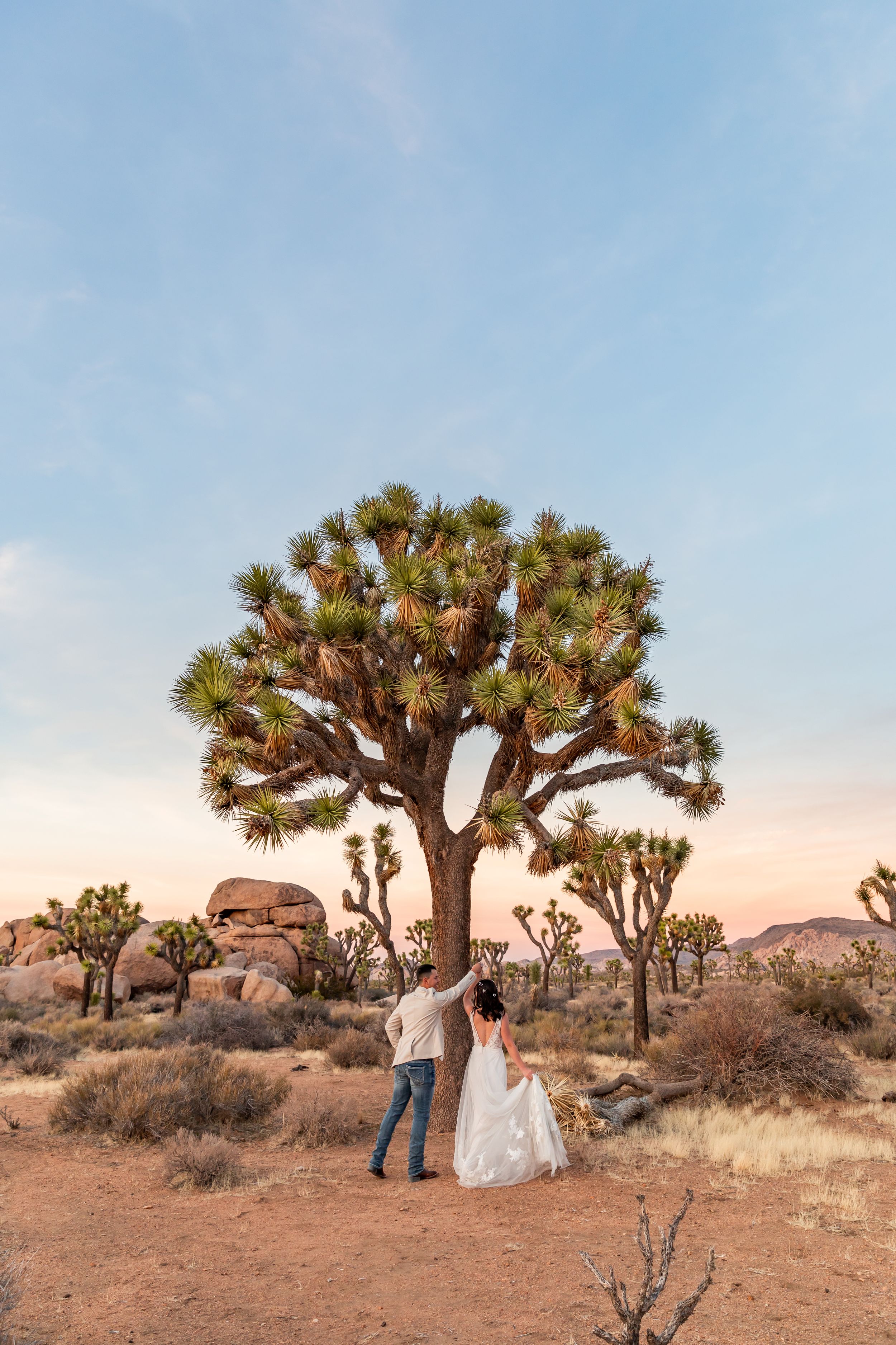 How to Plan Your Dream Elopement in Joshua Tree National Park
