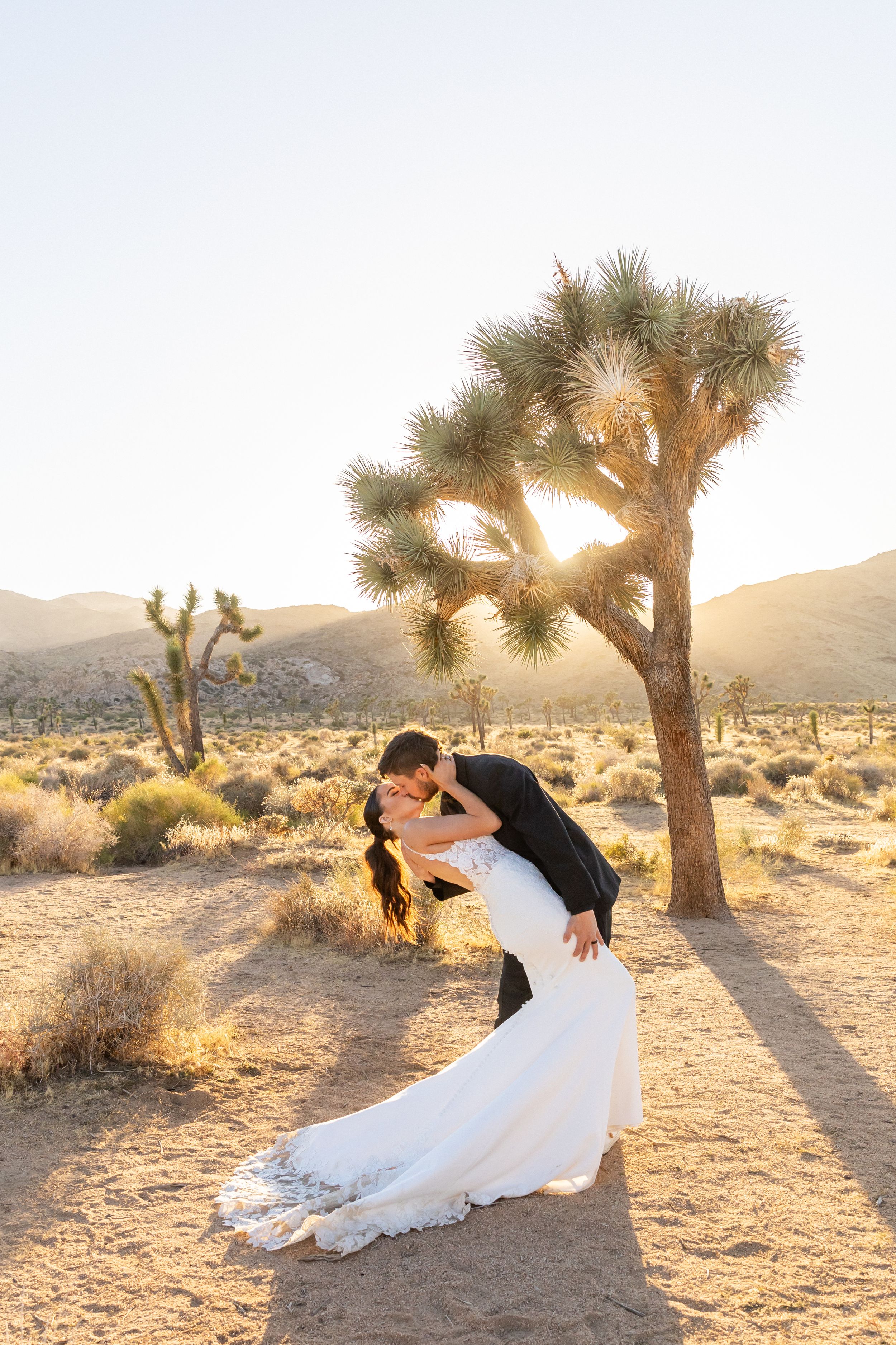 How to Plan Your Dream Elopement in Joshua Tree National Park