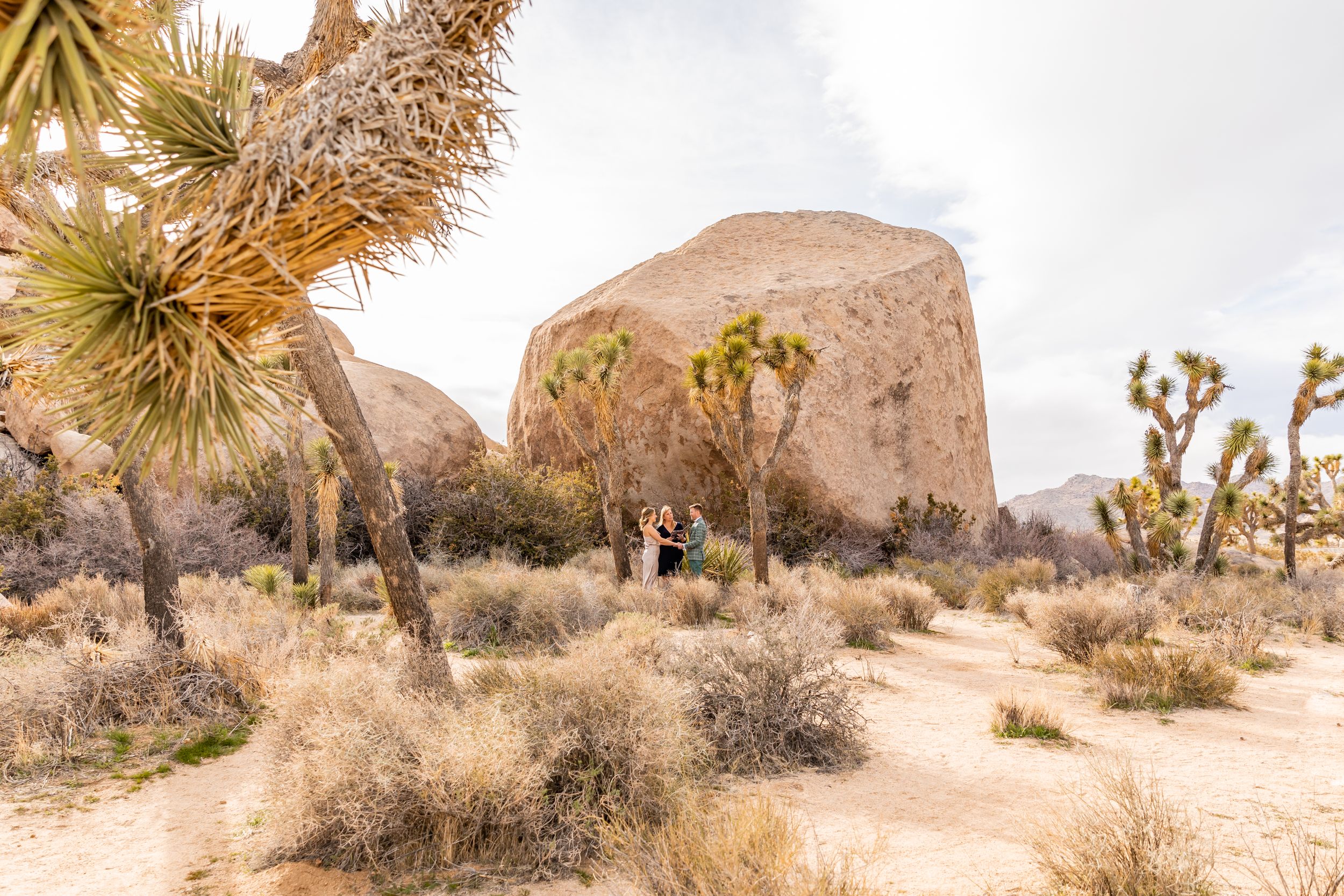 How to Plan Your Dream Elopement in Joshua Tree National Park