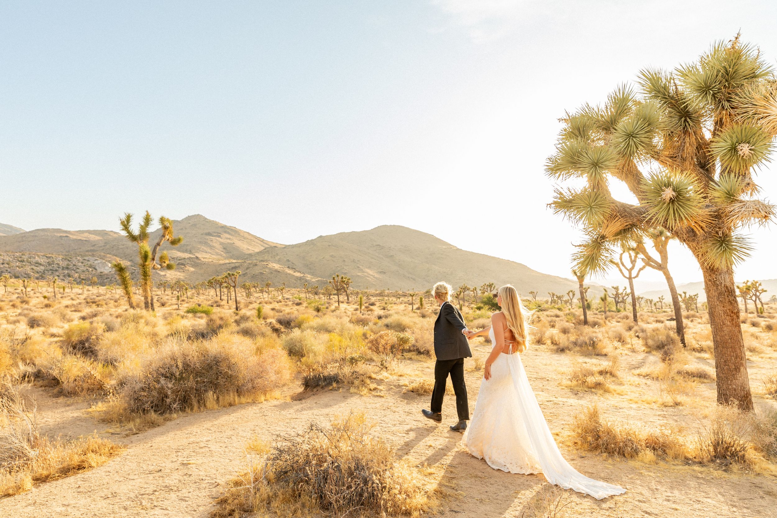 How to Plan Your Dream Elopement in Joshua Tree National Park