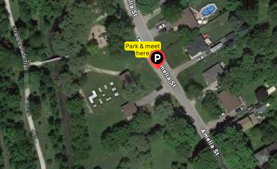 Awenda Park - Shoot for the Stars Photography and Studios