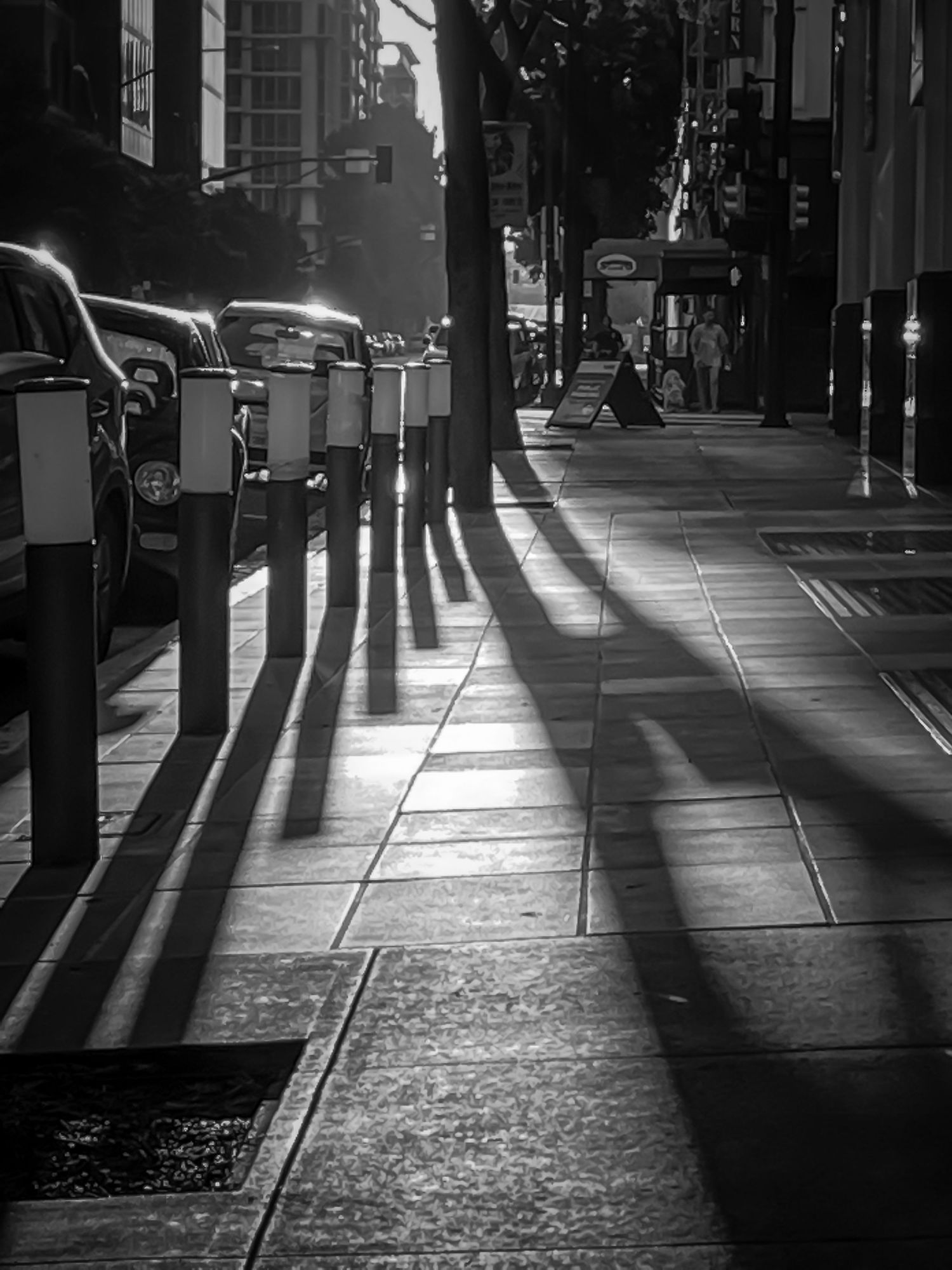 Shadow Scripted - Eric Wolfe Photos