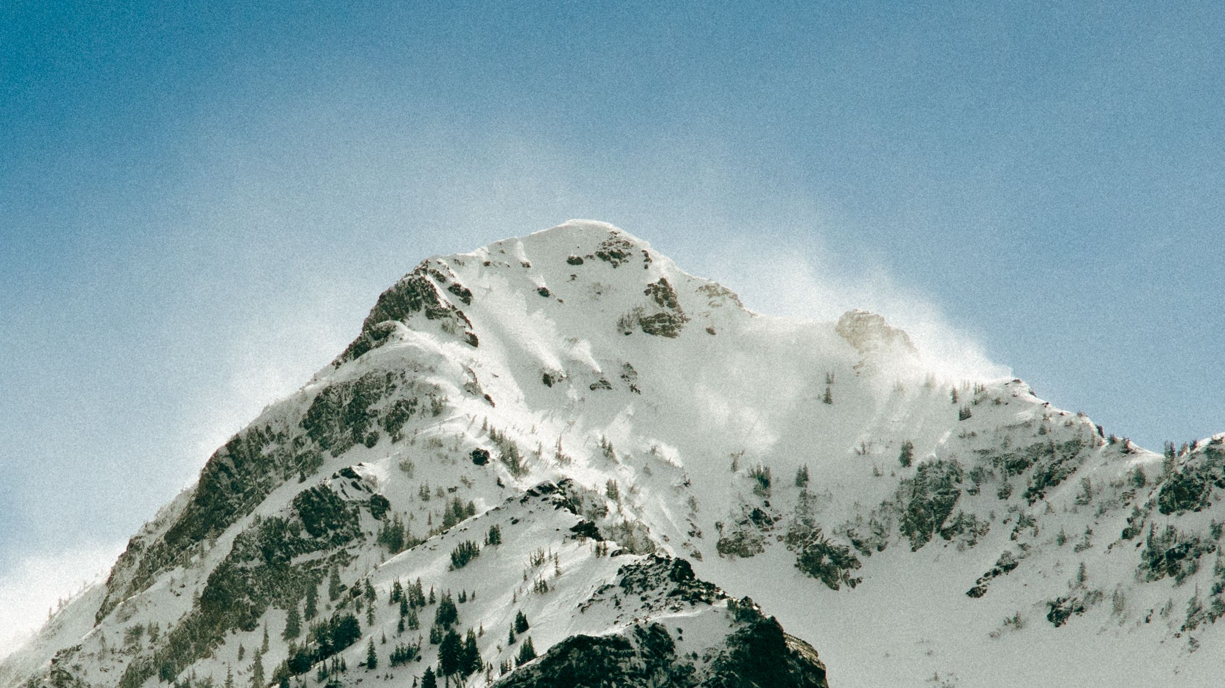 Michael Hoster Creative