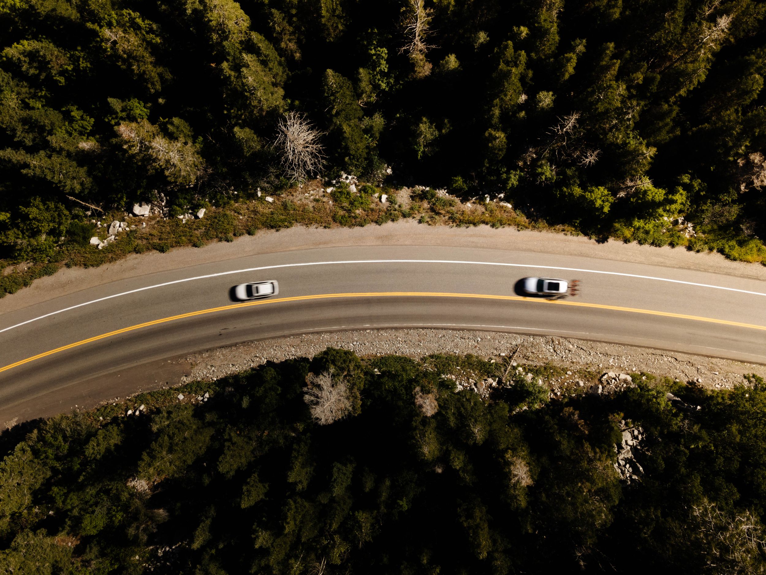 Michael Hoster Creative